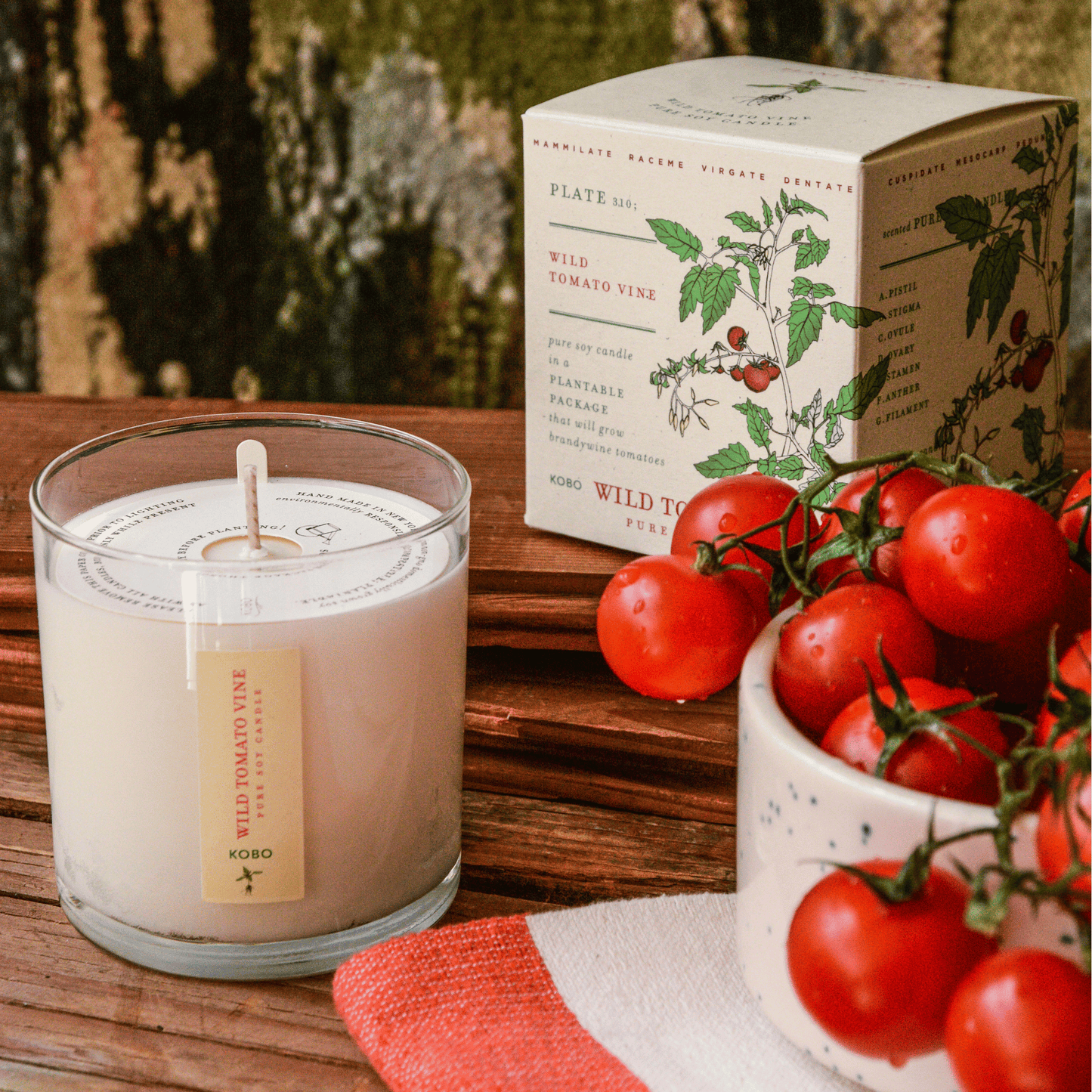 Wild Tomato Vine Plant the Box 9 oz Candle – KOBO